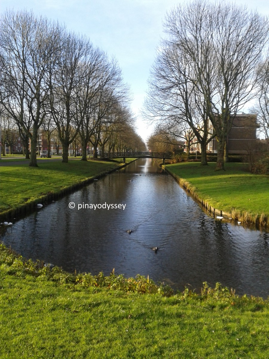NETHERLANDS: A glimpse of the Dutch way of life in Spijkenisse ...