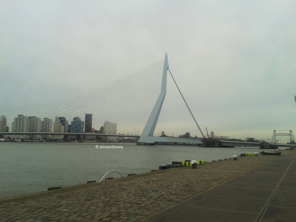 NETHERLANDS: Rotterdam – the Gateway to Europe (ft. the River Maas ...