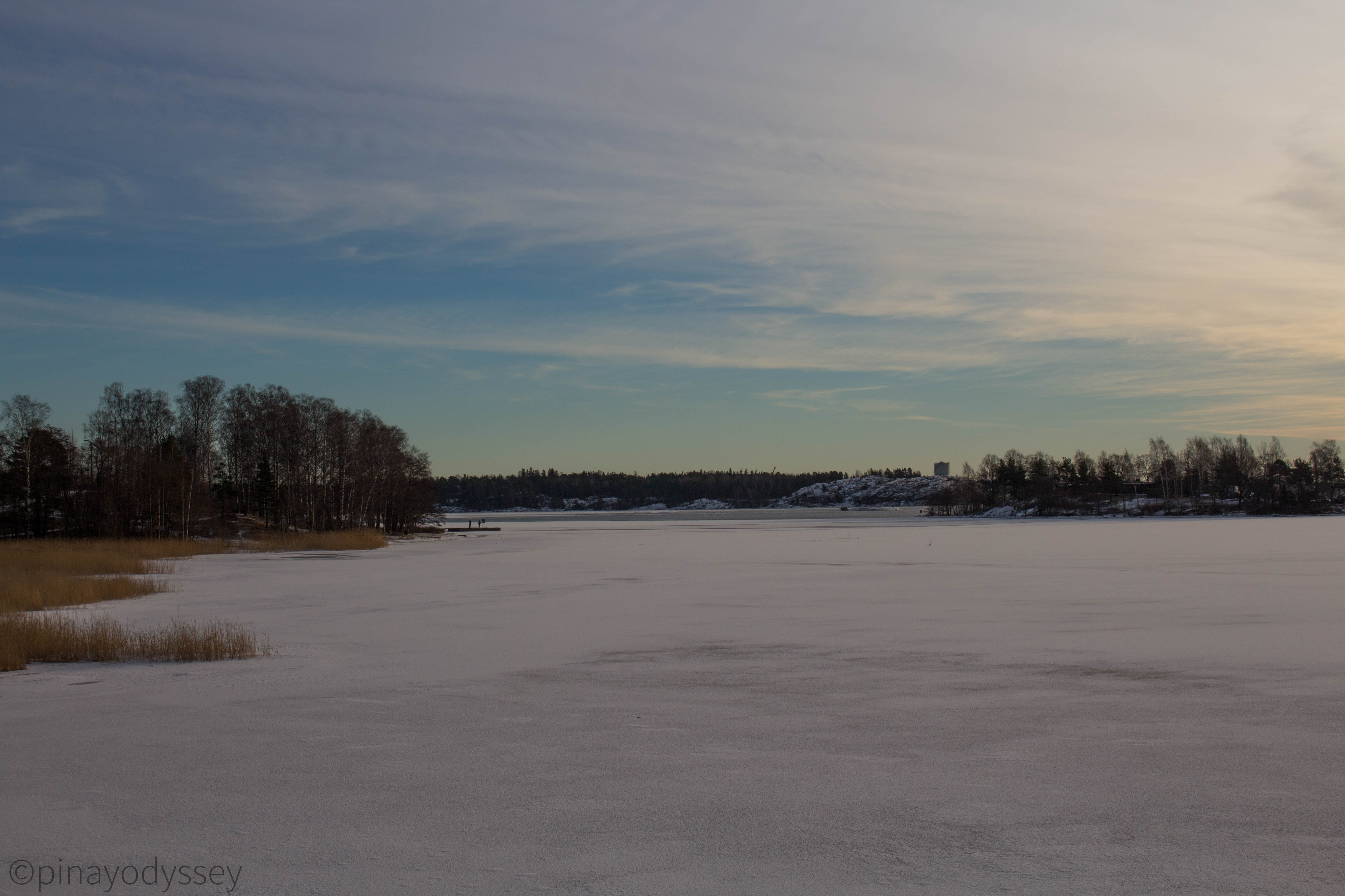 FINLAND: Korkeasaari/Helsinki Zoo – an island in a zoo or a zoo on an ...