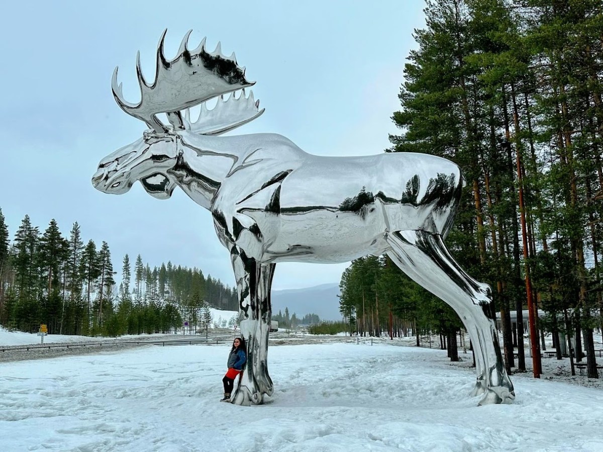 RoadTrip #53: Visiting Storelgen – the world’s 2nd tallest elk statue ...