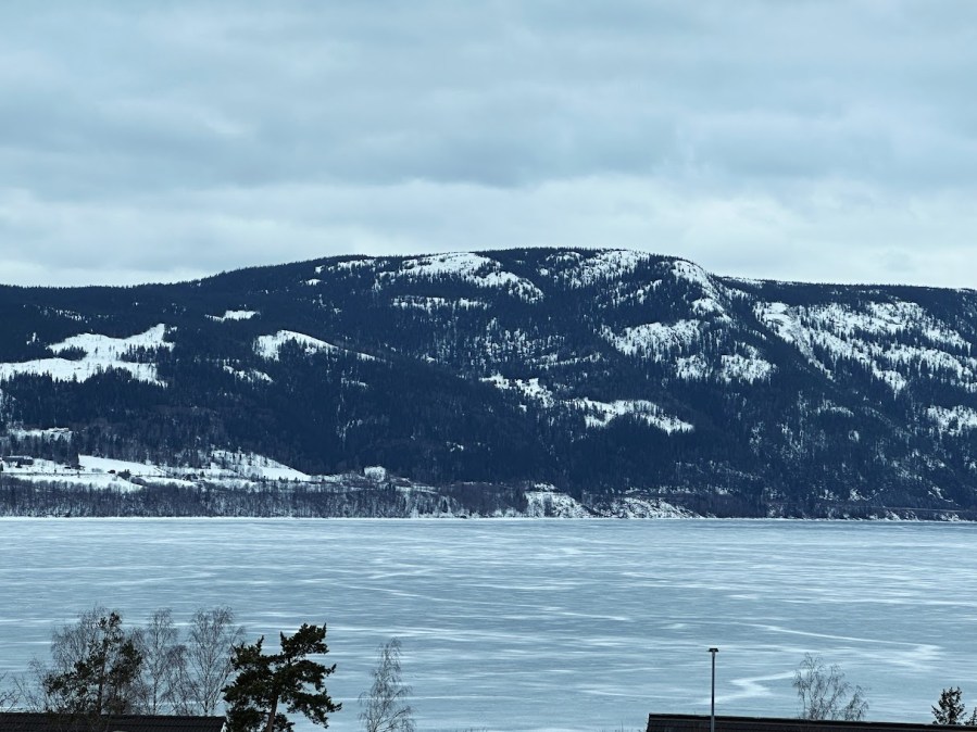 RoadTrip #53: Visiting Storelgen – the world’s 2nd tallest elk statue ...