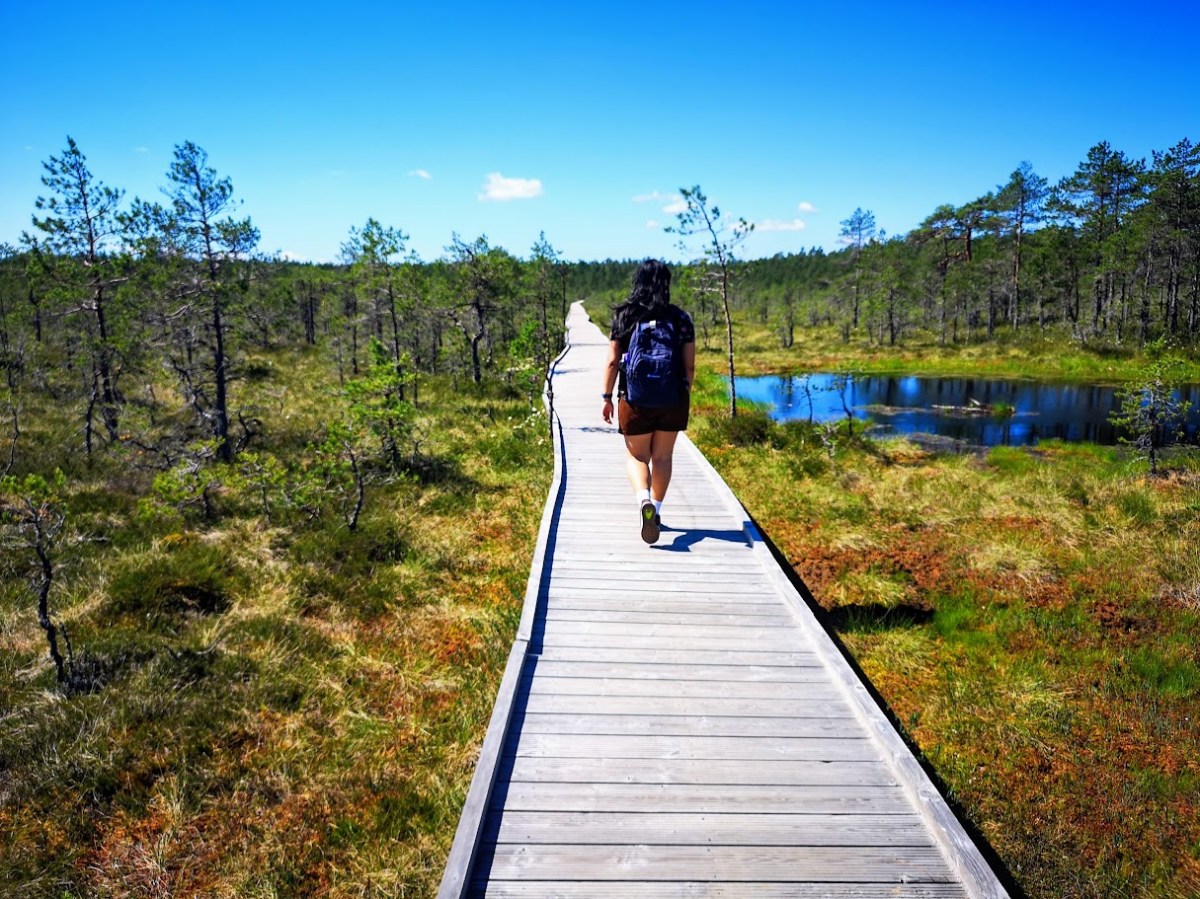 ESTONIA: Day 3 ft the Lahemaa National Park (Jägala waterfall, Viru bog ...